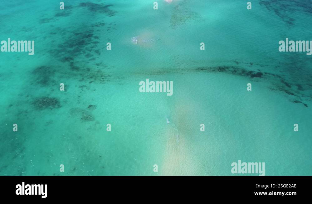 Los Roques Cayo de agua caribbean island without sand road, aerial top ...