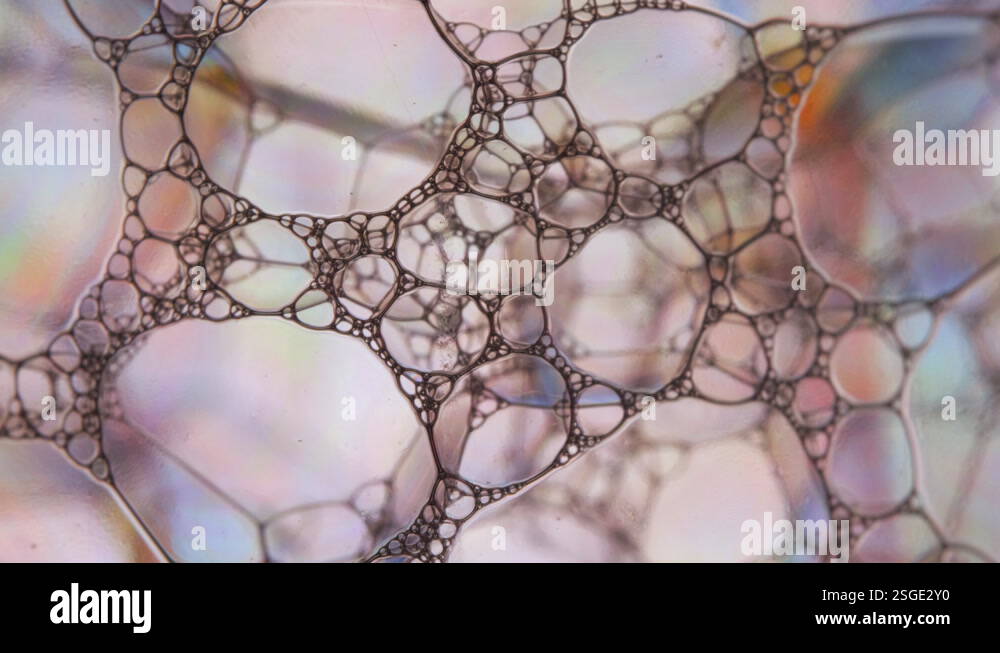 Macro Soapy water surface bubbles reflect light causing rainbow colour ...
