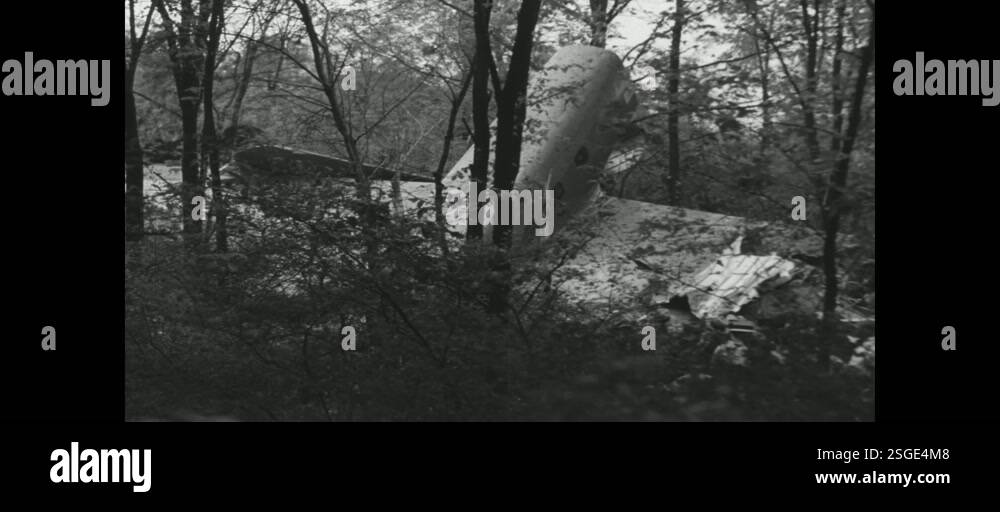 1940s: Wreaked plane crashed in the forest. People gathered to look at ...