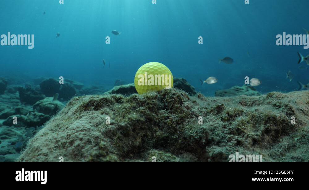 golf ball underwater with fish around on bottom some fish around Stock ...