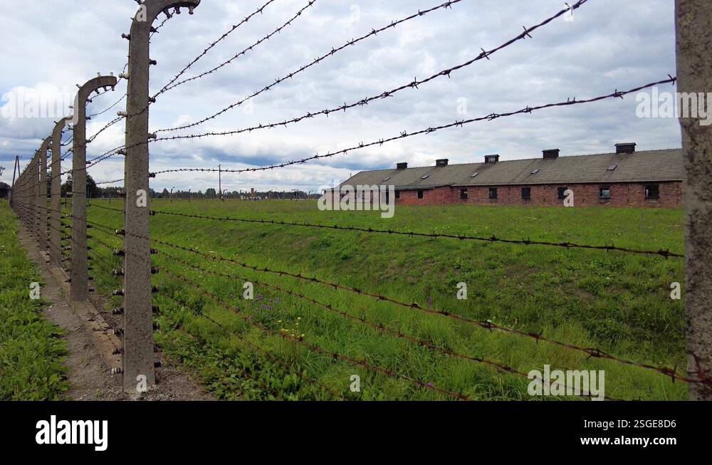 Electric Barbed-Wire Fence Surrounded The Barracks At Death Camp ...