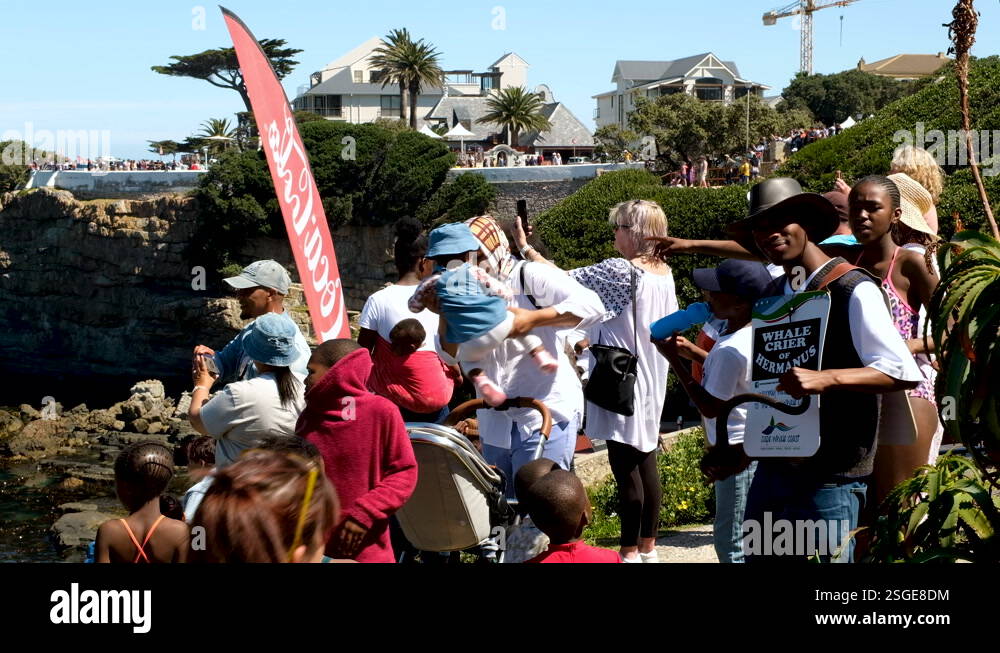 Hermanus Whale Crier blowing on his kelp horn among people at whale ...