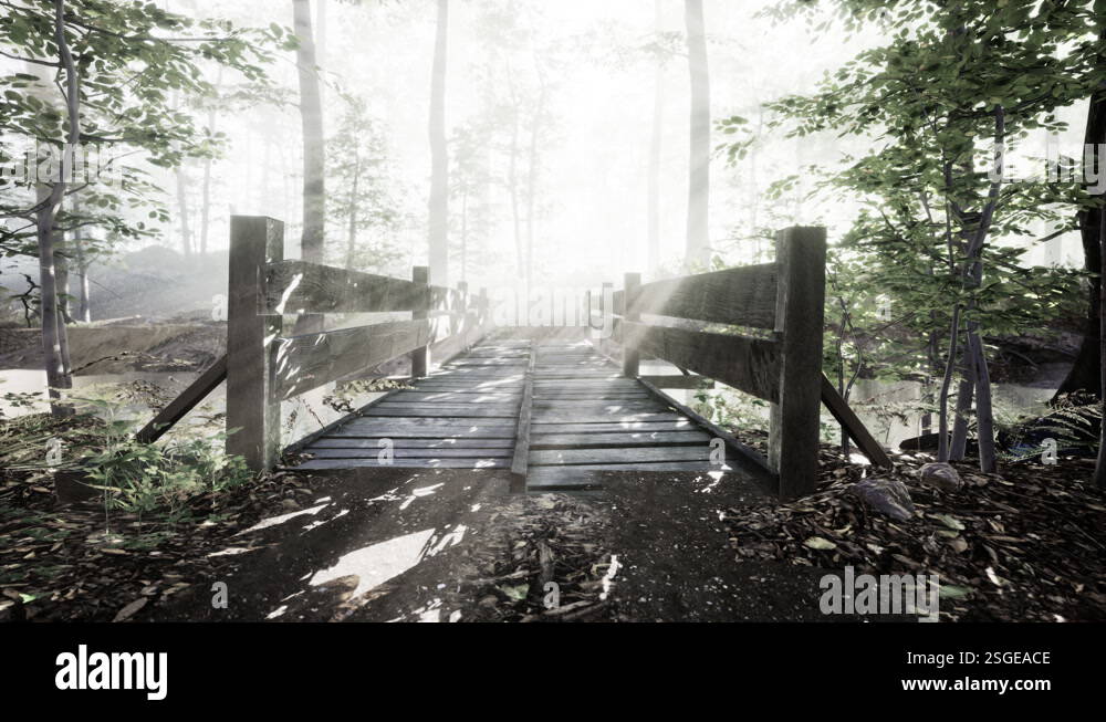 wooden steps in the forest disappeared in the thick fog Stock Video ...