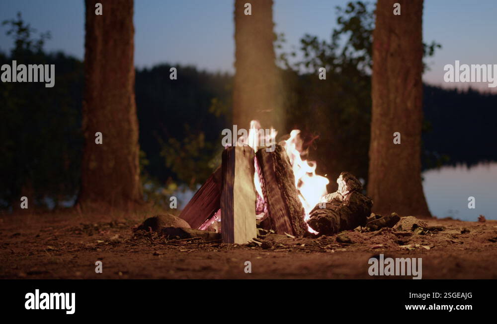 Campfire burns on river bank illuminating tree trunks flickeringly at ...
