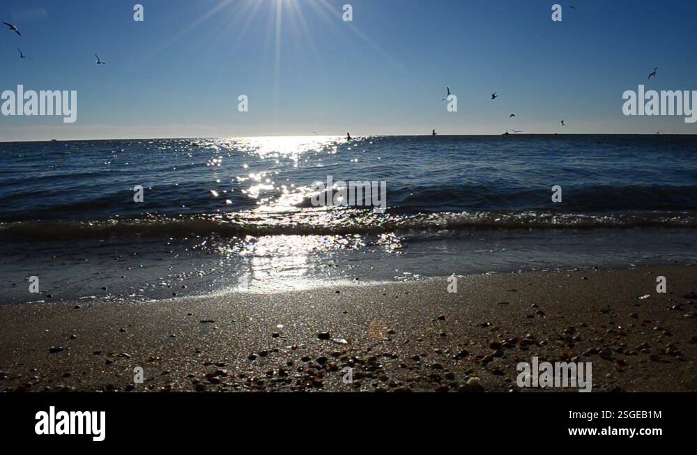 Sun opposite Stock Videos & Footage - HD and 4K Video Clips - Alamy