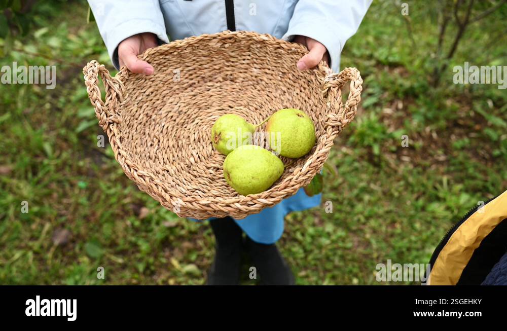 Pears family Stock Videos & Footage - HD and 4K Video Clips - Alamy