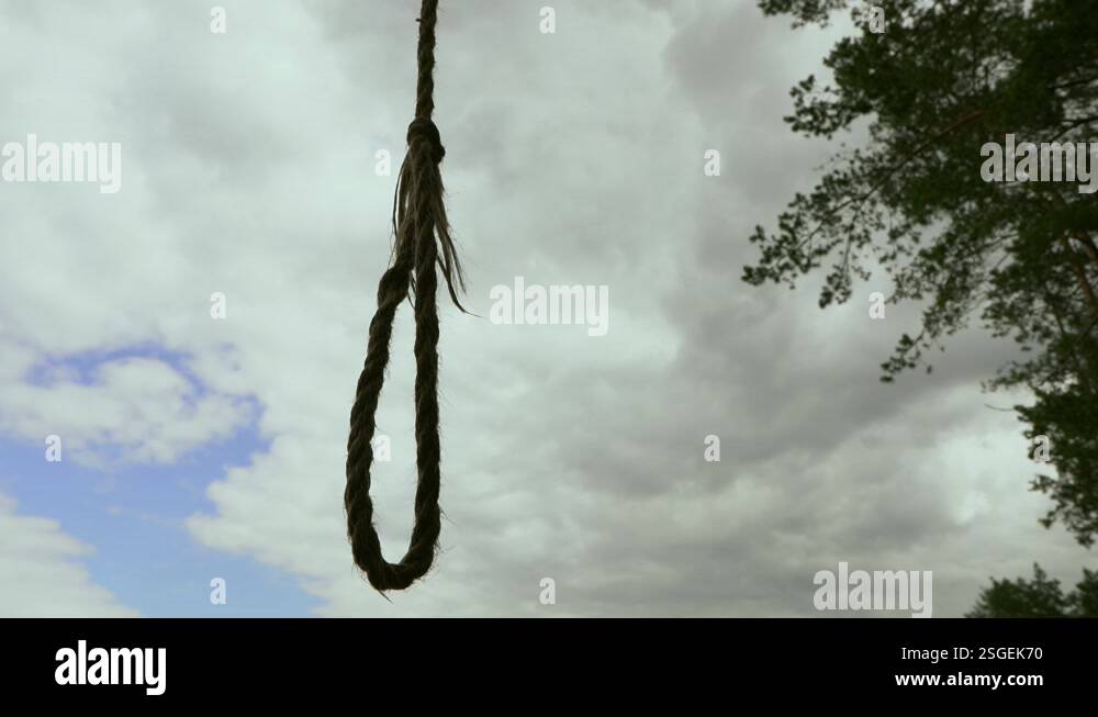 Rope noose tree Stock Videos & Footage - HD and 4K Video Clips - Alamy