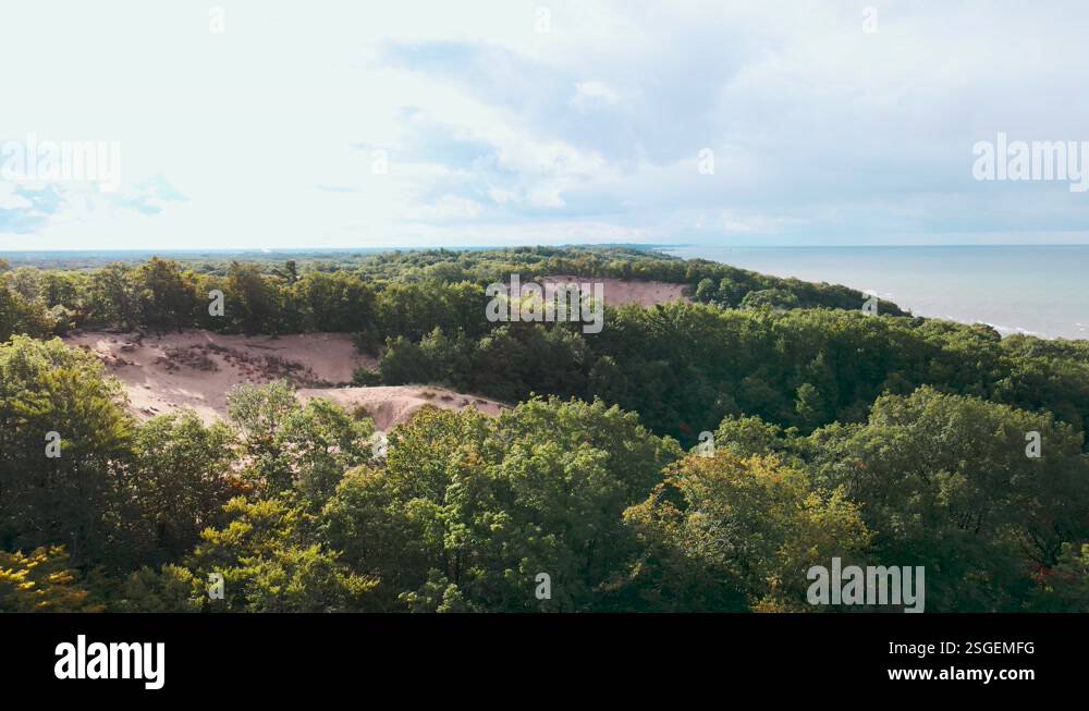 Aerial push forward of the various Dunes and Trees at a nature state ...