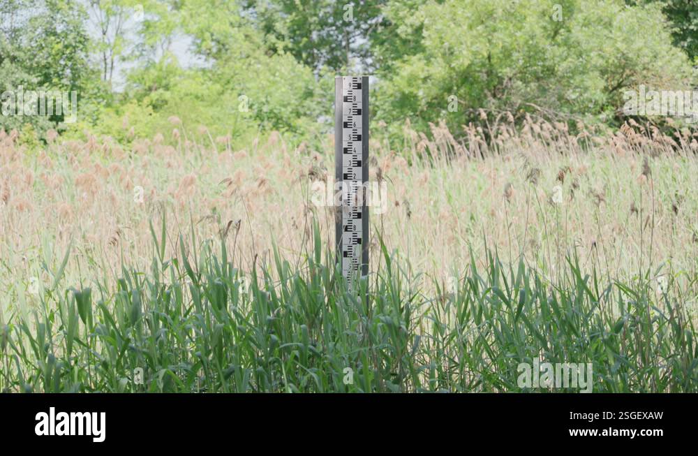 Water height gauge Stock Videos & Footage - HD and 4K Video Clips - Alamy