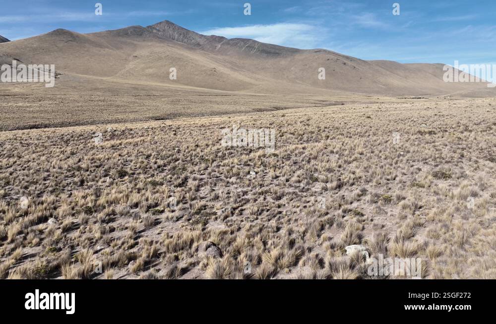 Drone flying over a dry grass landscape in the terrain of Peru Stock ...