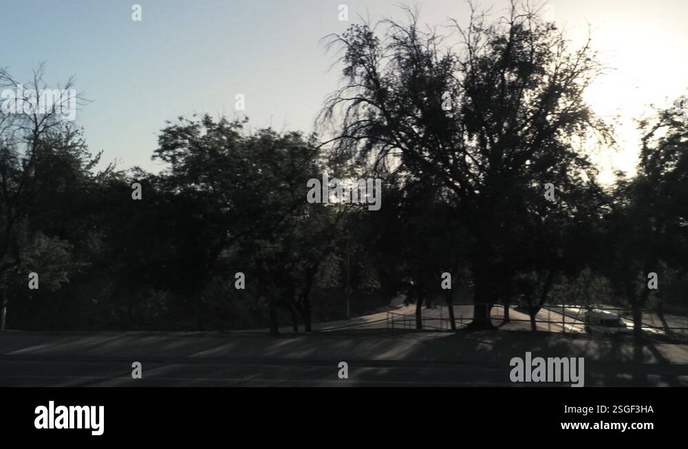 Train trees Stock Videos & Footage - HD and 4K Video Clips - Alamy