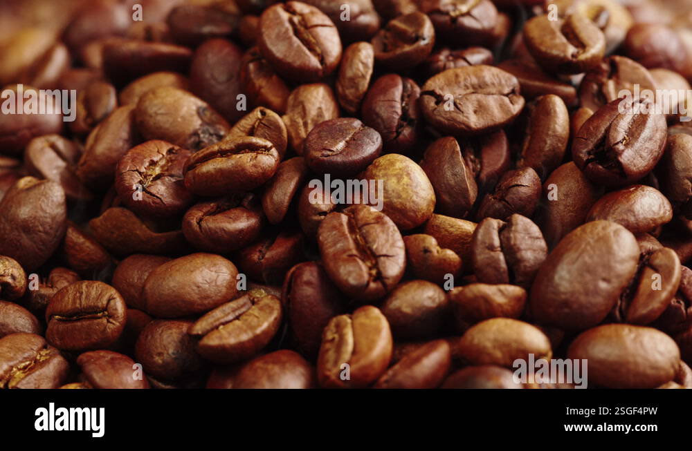 Coffee robusta beans close Stock Videos & Footage - HD and 4K Video ...
