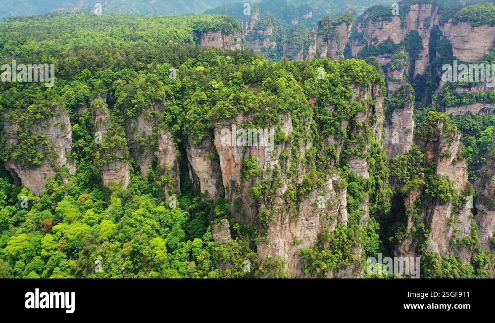 Unique quartzite pillars and peaks in zhangjiajie national forest park ...