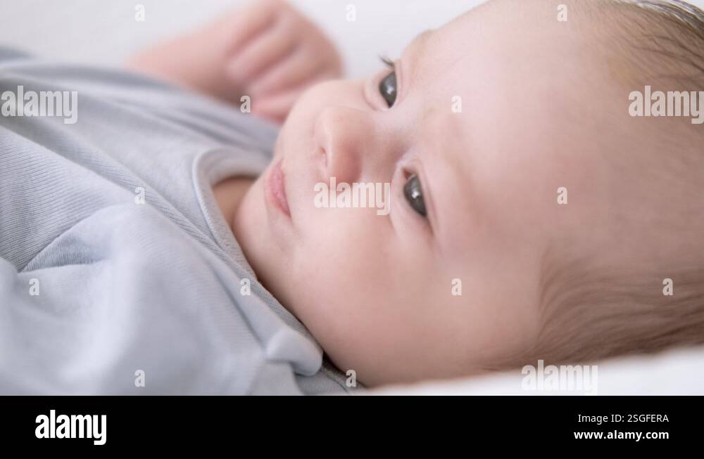 Portrait newborn baby boy lying in nursery cocoon with blue clothes on ...