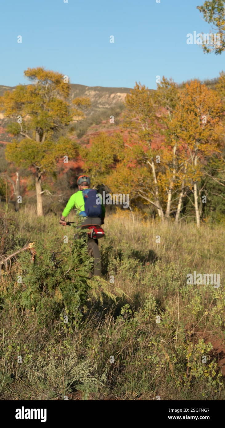 male cyclist is riding a fat mountain bike on a single track trail ...