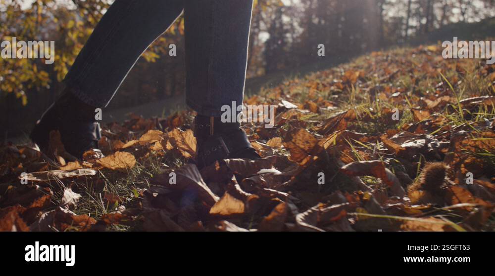 Hiking boots walk or climb on autumn fall leaves lens flares close up ...