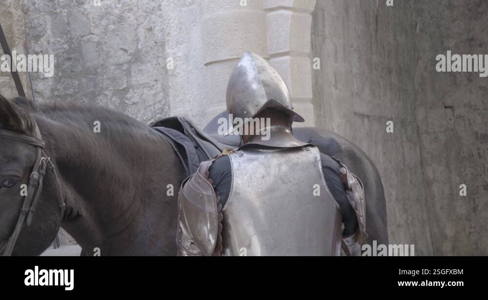 Knight horse castle Stock Videos & Footage - HD and 4K Video Clips - Alamy