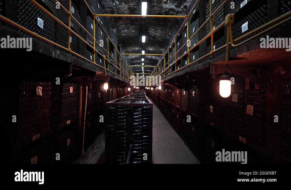 Collectible storage Stock Videos & Footage - HD and 4K Video Clips - Alamy