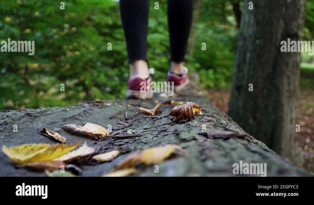 Person balancing on a tree trunk in a german forest Stock Video Footage ...