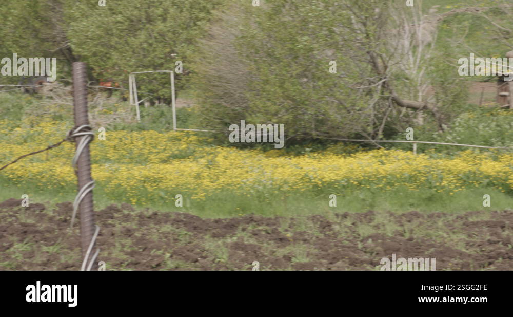 A Small Backyard Farm With Plowed Soil Prepared For Growing Crops In ...