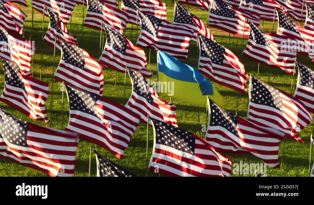 Ukrainian and American flags representing multinational victims of ...