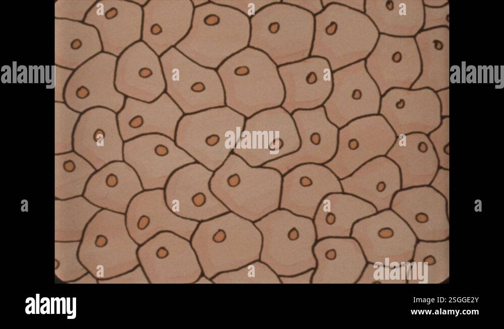 1990s: Illustration of skin cells. Cartoon alien floating, talking ...