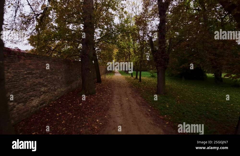 Straight path leading an alley through the autumn park. Cool morning ...
