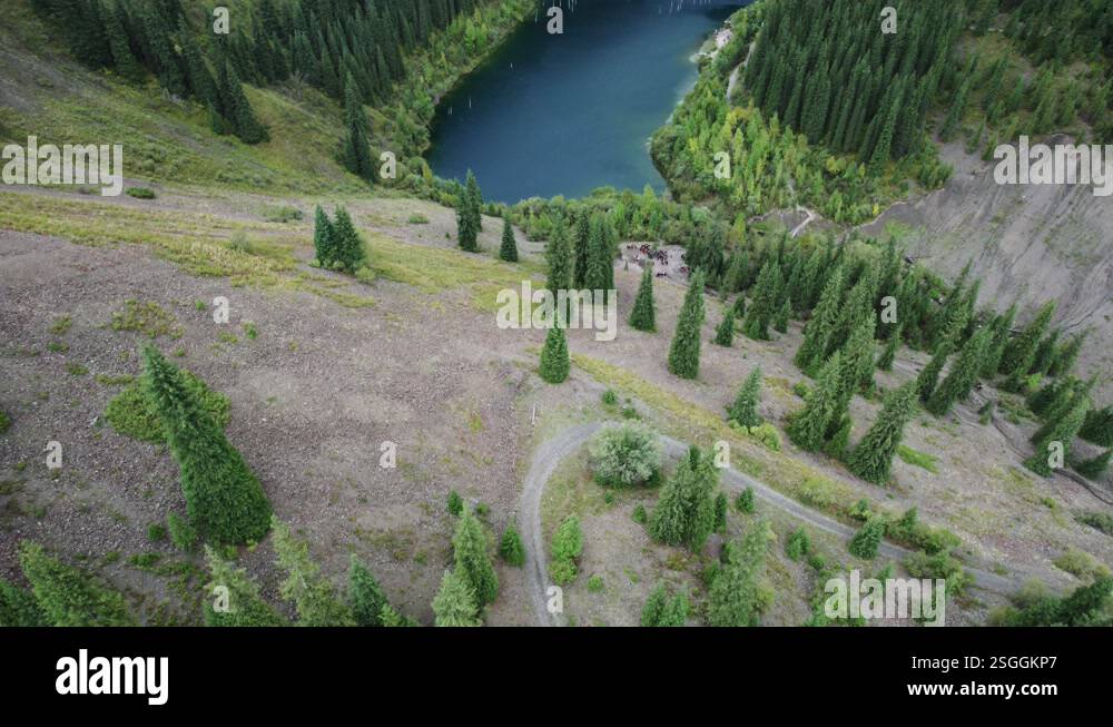 Kaindy Lake sunken forest, aerial reveal trail to river flooded ...