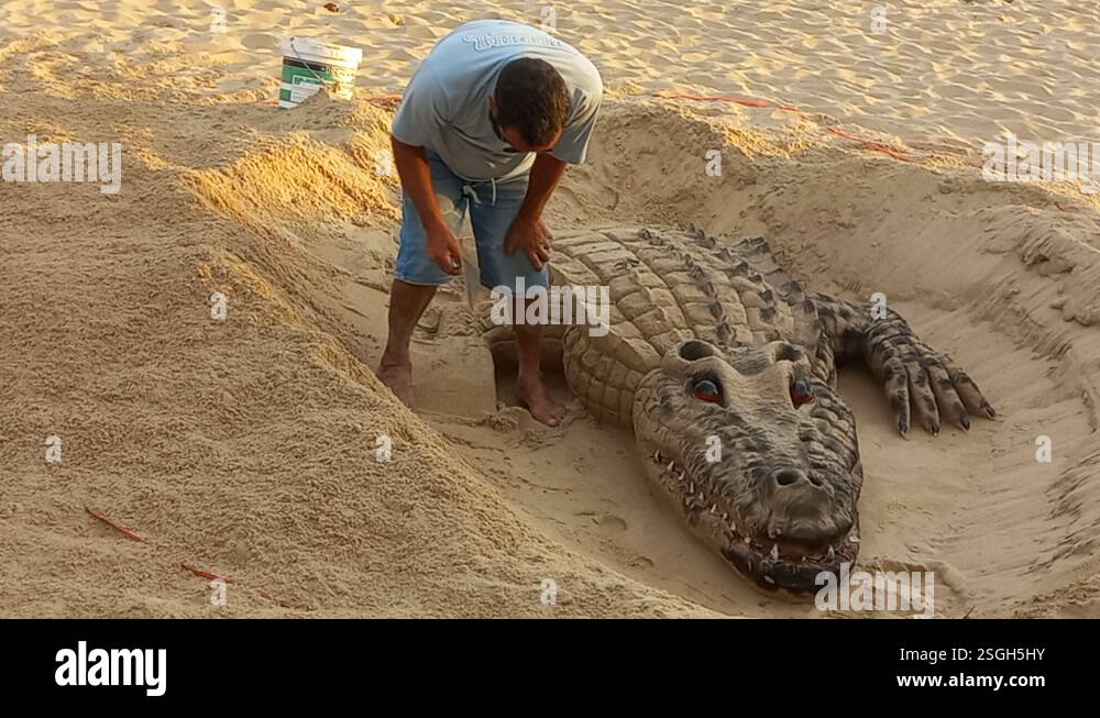 Sand crocodile on beach Stock Videos & Footage - HD and 4K Video Clips ...