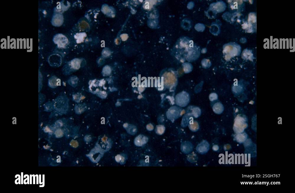 Magnified surface Stock Videos & Footage - HD and 4K Video Clips - Alamy