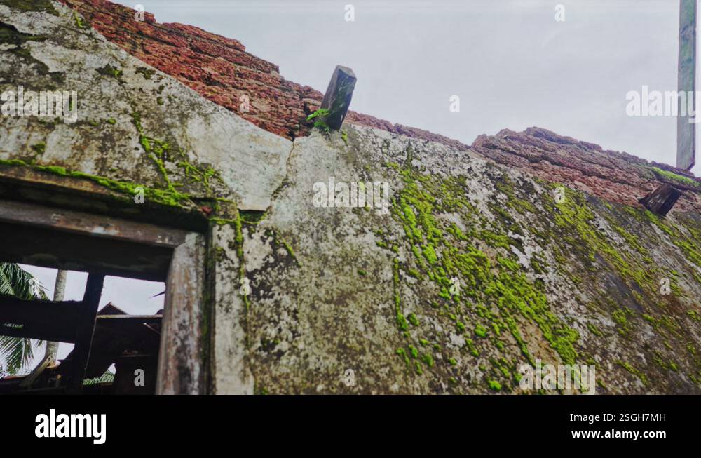 A crumbling old building, The wall started to crumble , Full of moss ...