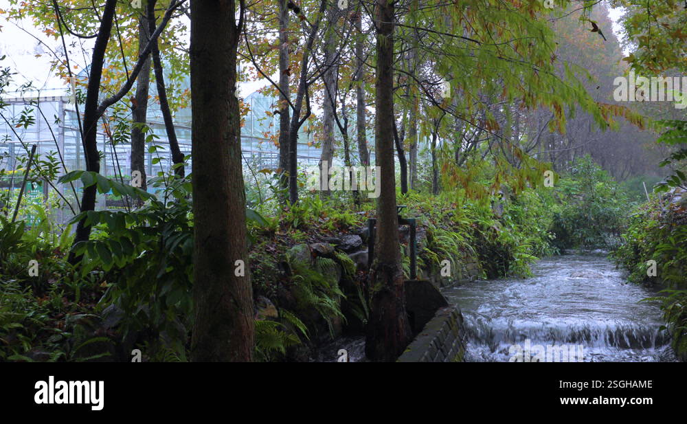 water flow, clear, irrigation, canal, forest, small stream Stock Video ...