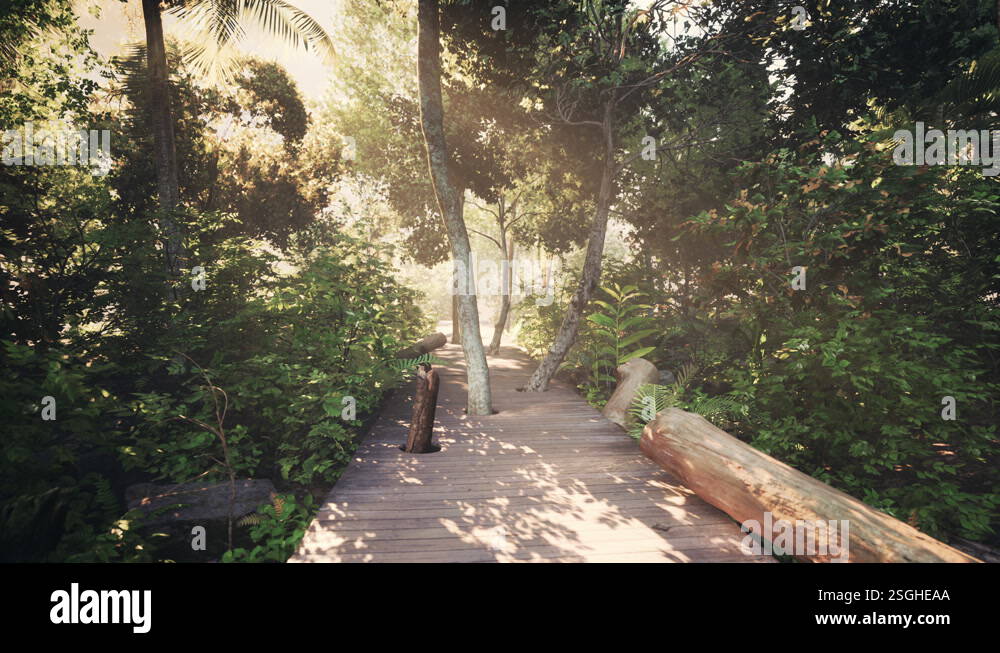 Wooden path track from planks in forest park Stock Video Footage - Alamy
