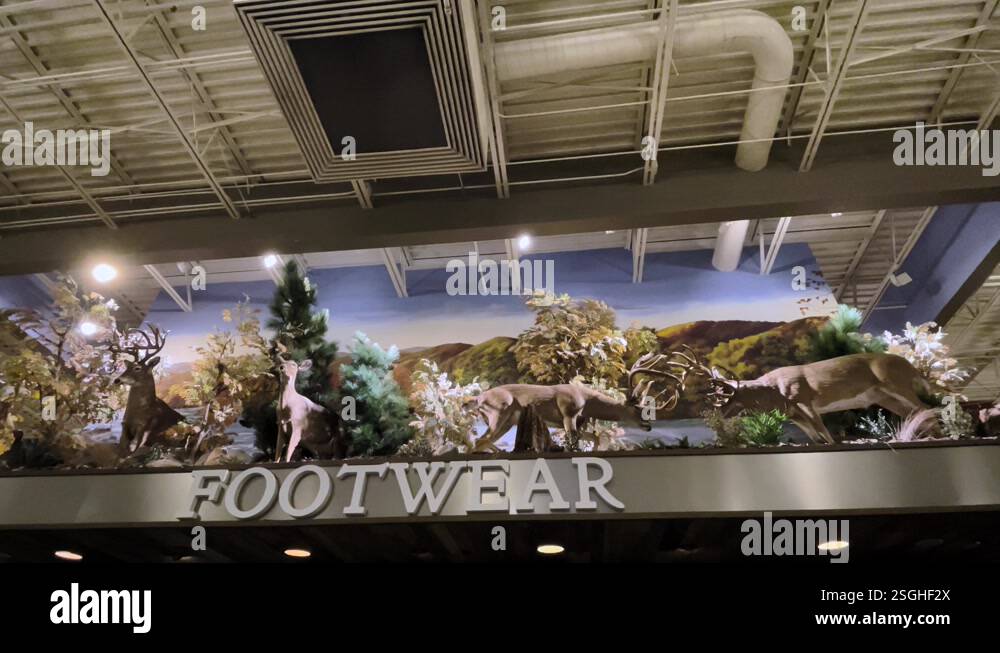 Cabela's Outpost retail store interior realistic wall display in ...