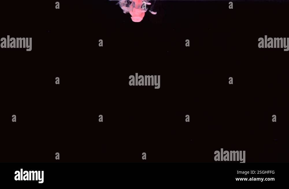 Pink ink dropping in water on black surface Stock Video Footage - Alamy