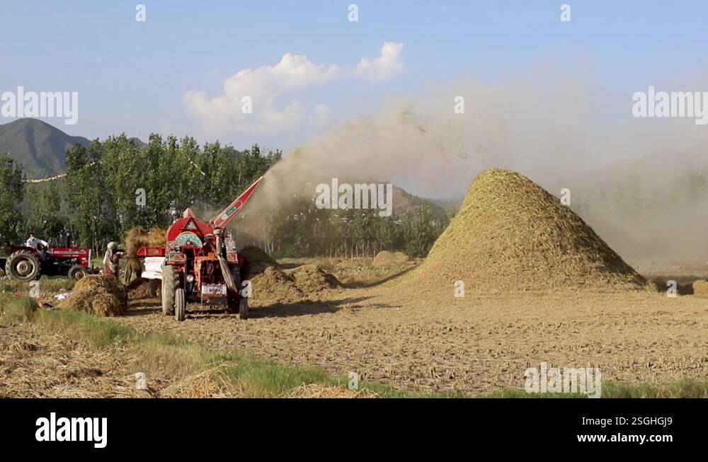 Pakistan division Stock Videos & Footage - HD and 4K Video Clips - Alamy