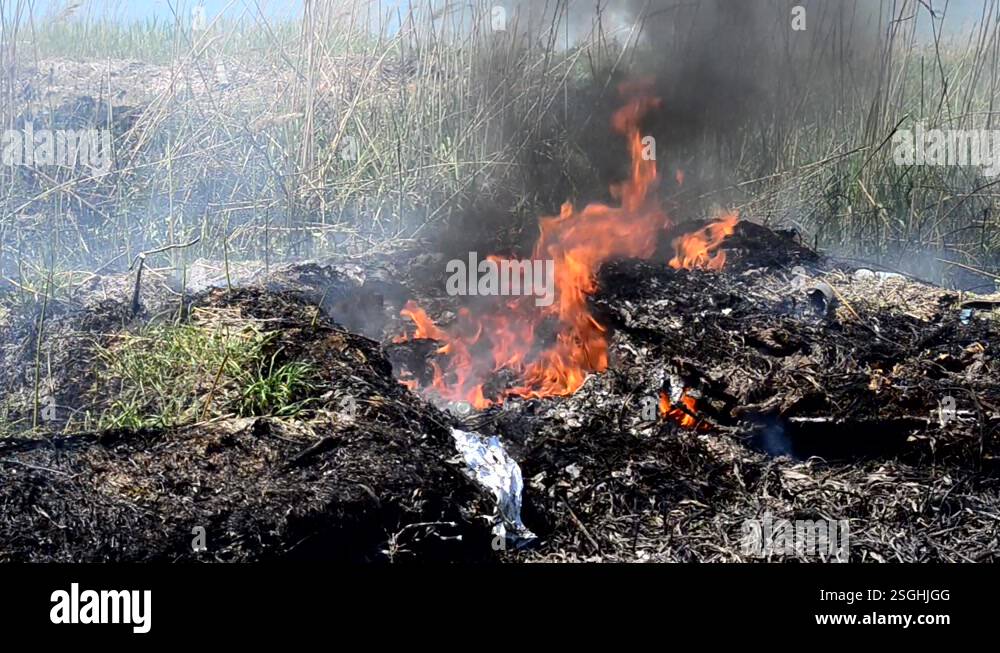 Suffocating smoke, fire. Accident, fire in the spring Stock Video ...
