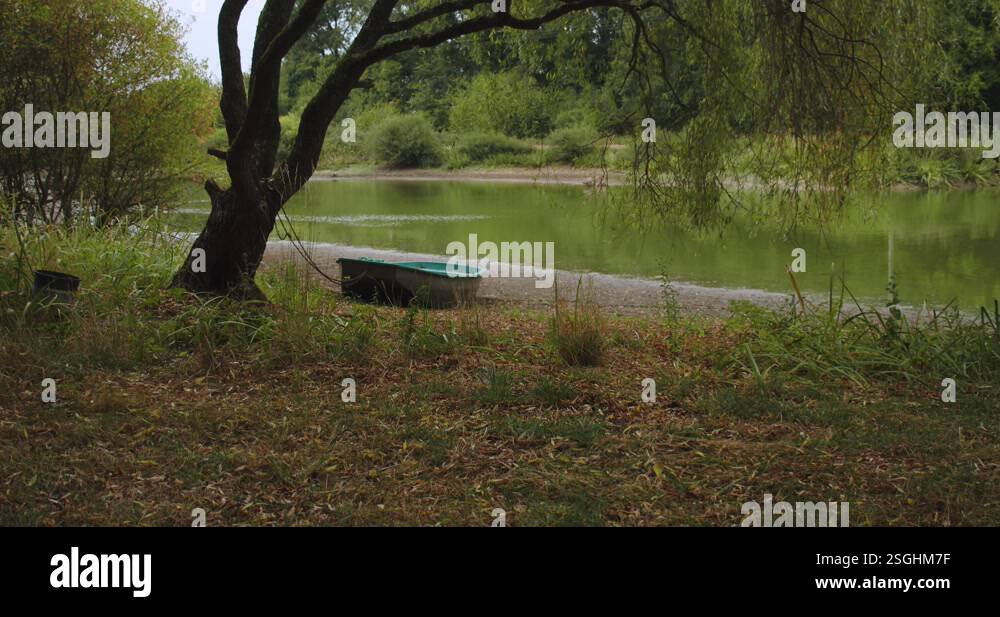 Boat tied to tree Stock Videos & Footage - HD and 4K Video Clips - Alamy