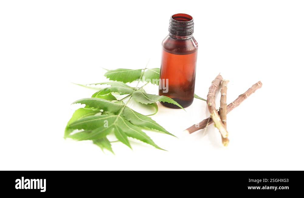 neem oil in a yellow bottle with leaves leaflets and bunch of neem ...