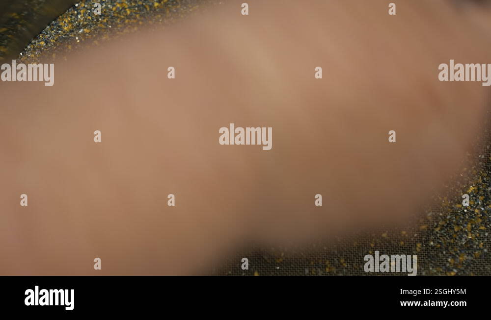 Close Up Of Checking Gold Dust Material Purity With Magnet For Metal ...