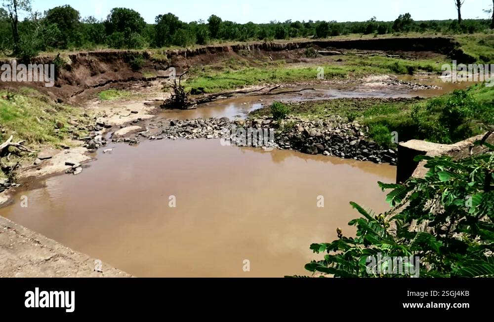 Tilt-up shot to a muddy brown pond in Africa, on a dry sunny day Stock ...
