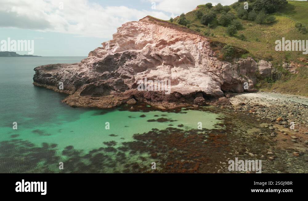 Cray fish Stock Videos & Footage - HD and 4K Video Clips - Alamy