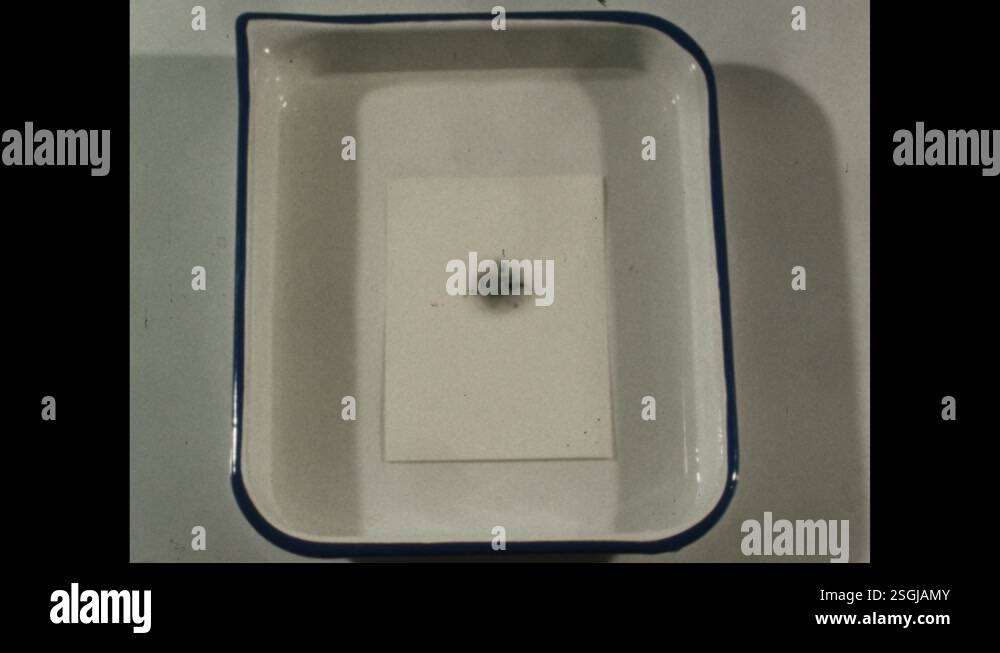 1960s: Rock in a dish labeled radium and uranium. Photographic paper ...