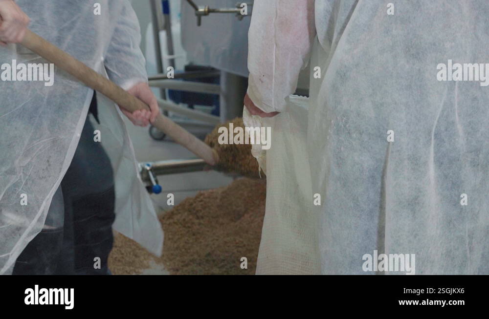 Worker Uses Shovel To Remove Spent Grain Waste From Brewery Factory ...