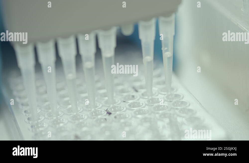 Pipette Laboratory Test Tool Falls Into Tube Continuing To Pouring ...