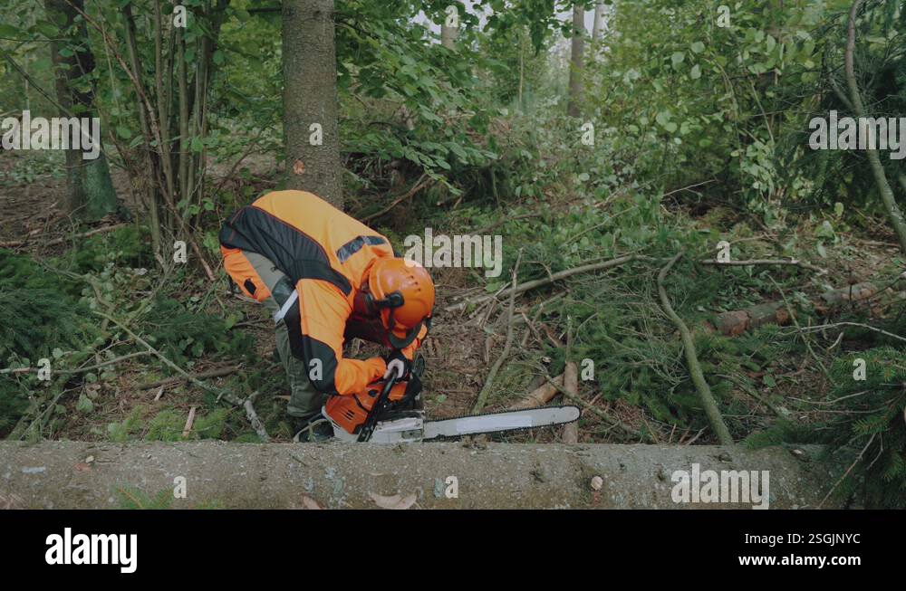 Woman logger in the forest, female specialist in protective gear start ...