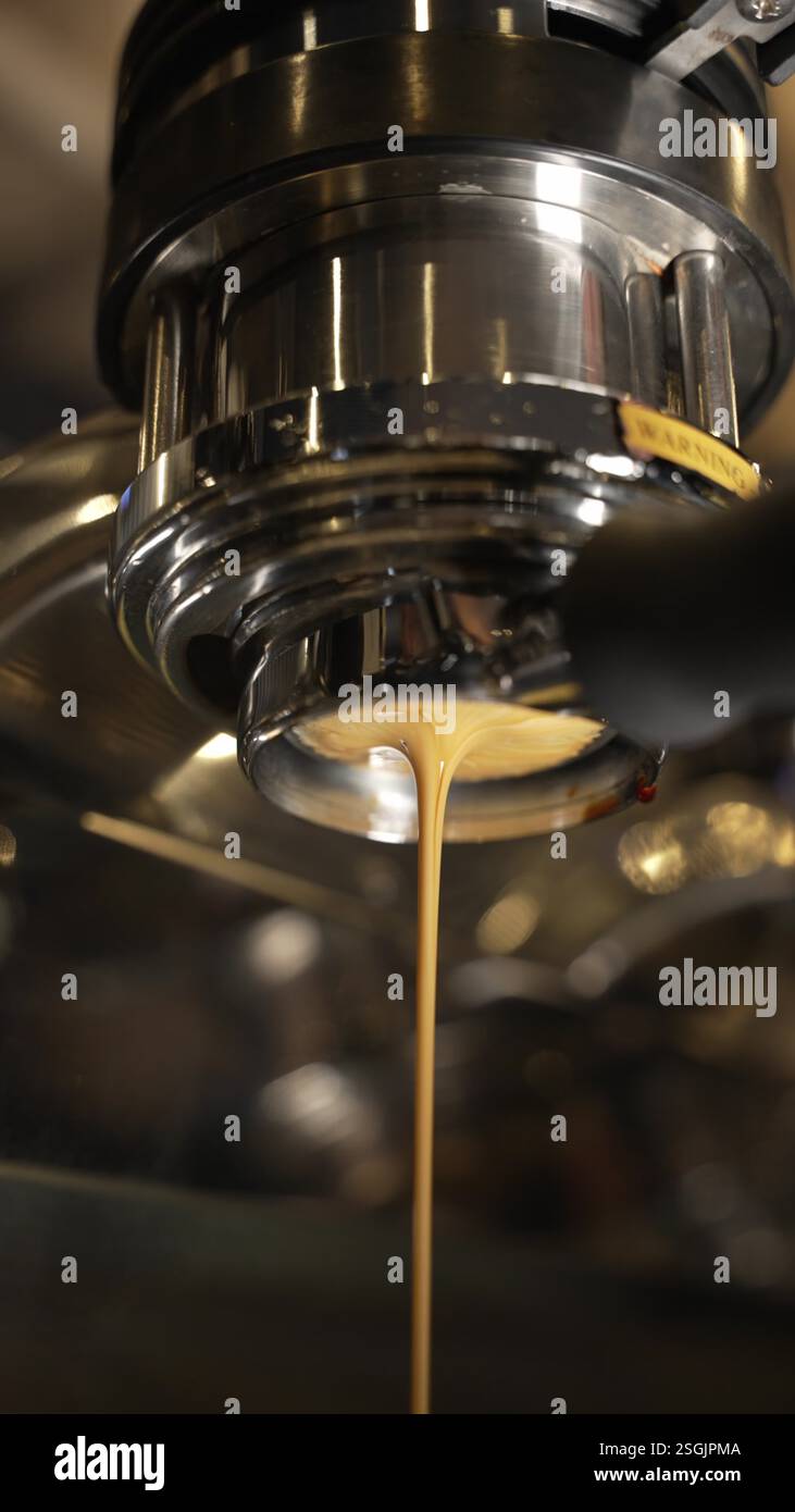 Professional coffee maker pours coffee into a cup from the spouts ...
