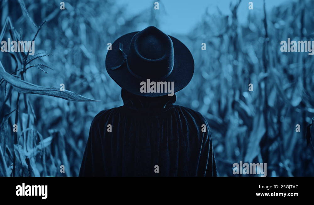 Plague doctor or death woman at night in thickets of corn field. Creepy ...