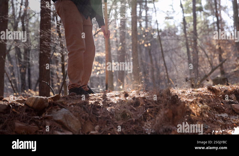 Man raking leaves off walking path in forest on autumn day - close up ...