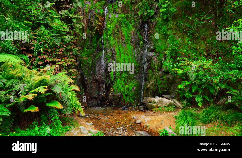 Nature walks Stock Videos & Footage - HD and 4K Video Clips - Alamy